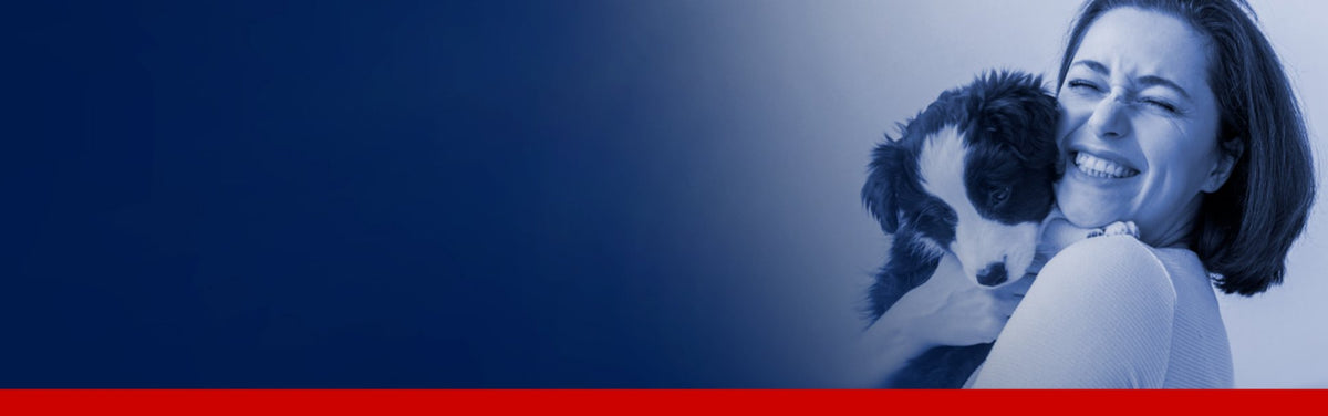 ESA Collection – USA Service Animal Registration