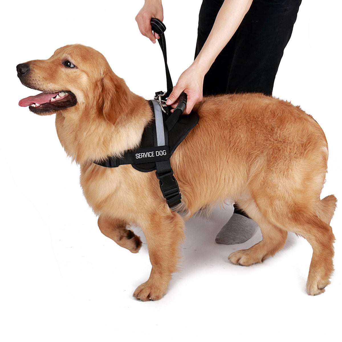 Service Dog Vest with Handle ID Package – USA Service Animal Registration