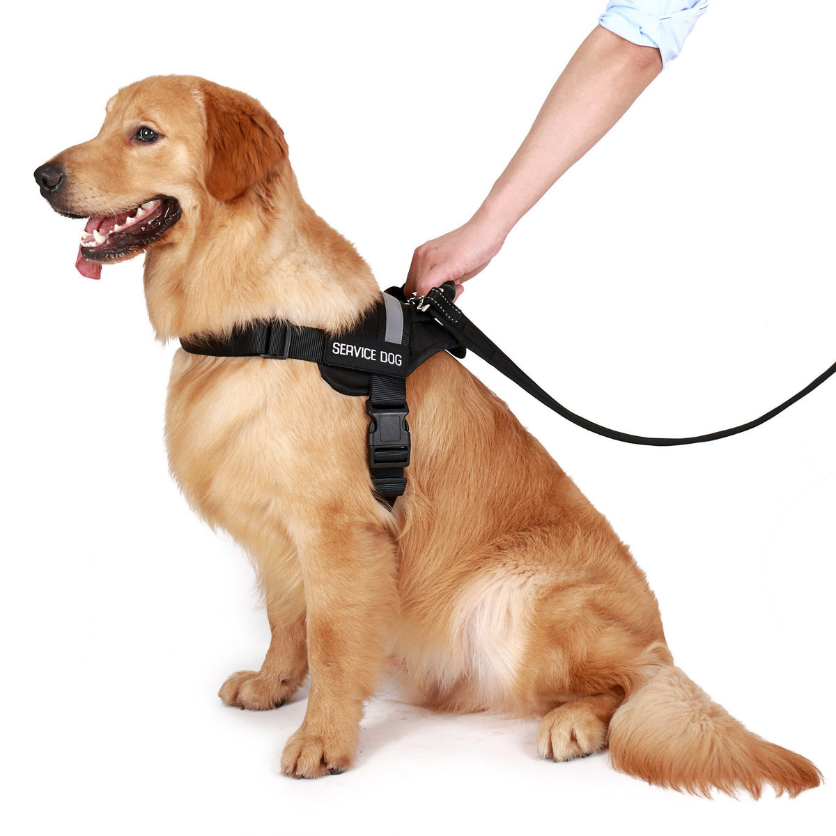 Service Dog Vest with Handle ID Package – USA Service Animal Registration