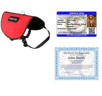Service Dog Vest and ID Package – USA Service Animal Registration
